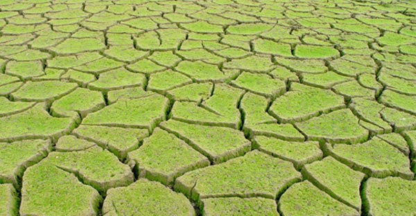 A World Without Fish: Personal Action & the Environment