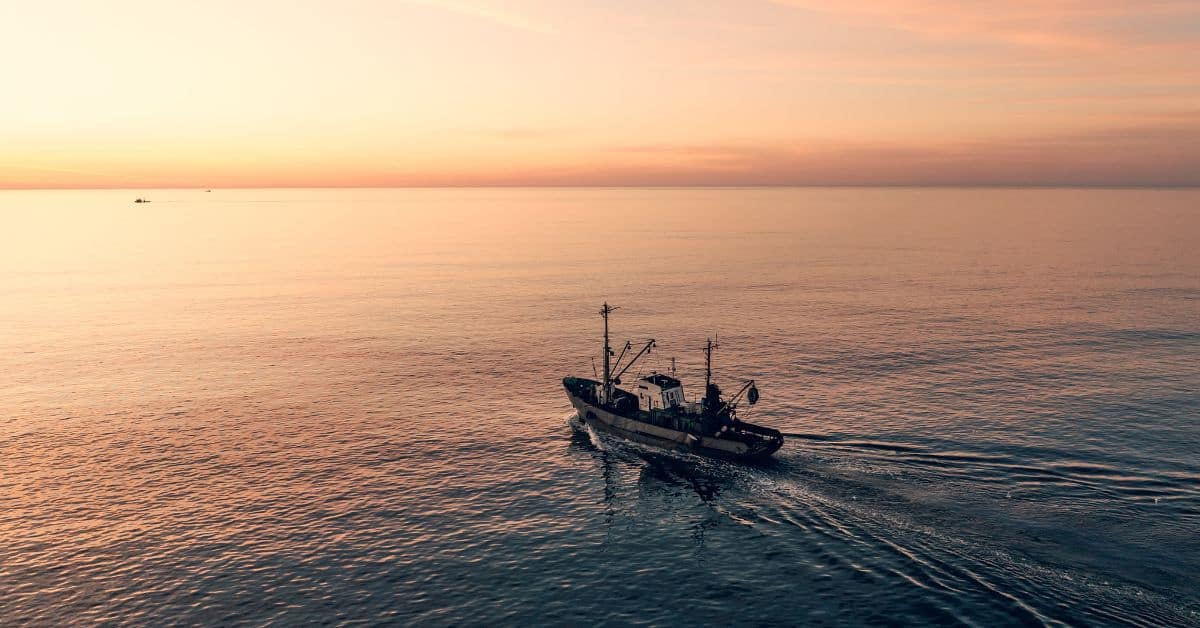 America the Beautiful: Swimming in the Slurry - Center for Nutrition ...