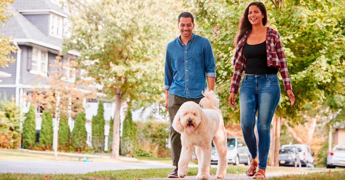 Sit Less, Move More: Six Ways to Sneak More Movement into Your Day ...