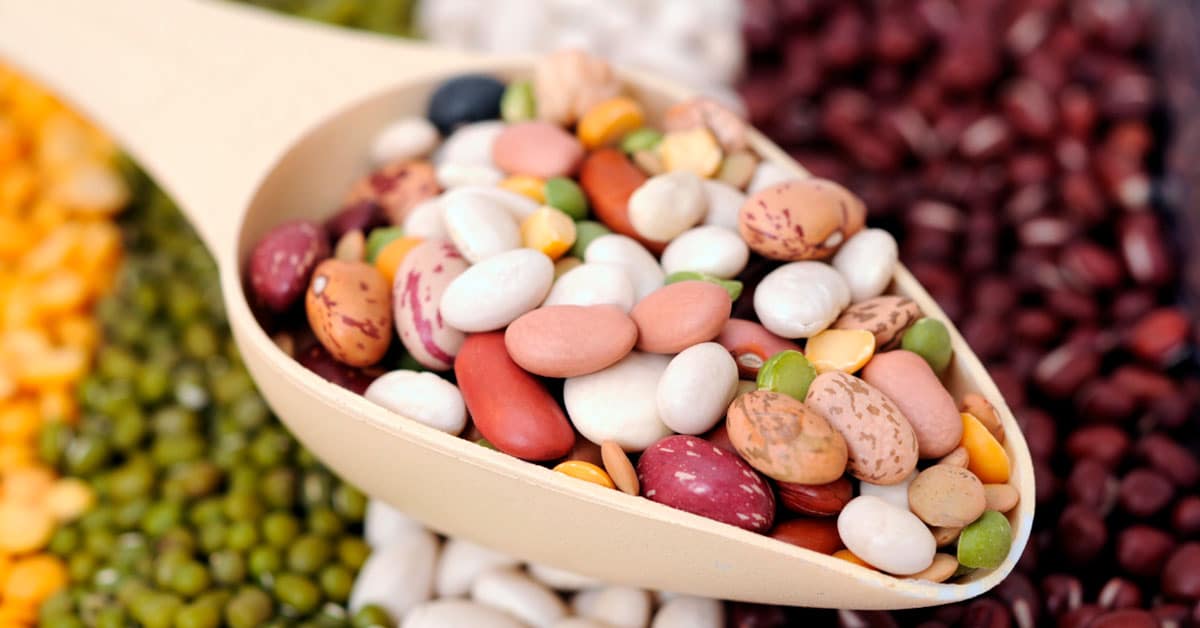 What Are Lectins? A Look at This Controversial Protein - Center for ...