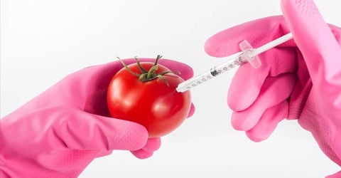 Future Food Trends: What Will Plant-Based Diets Look Like? - Center for ...